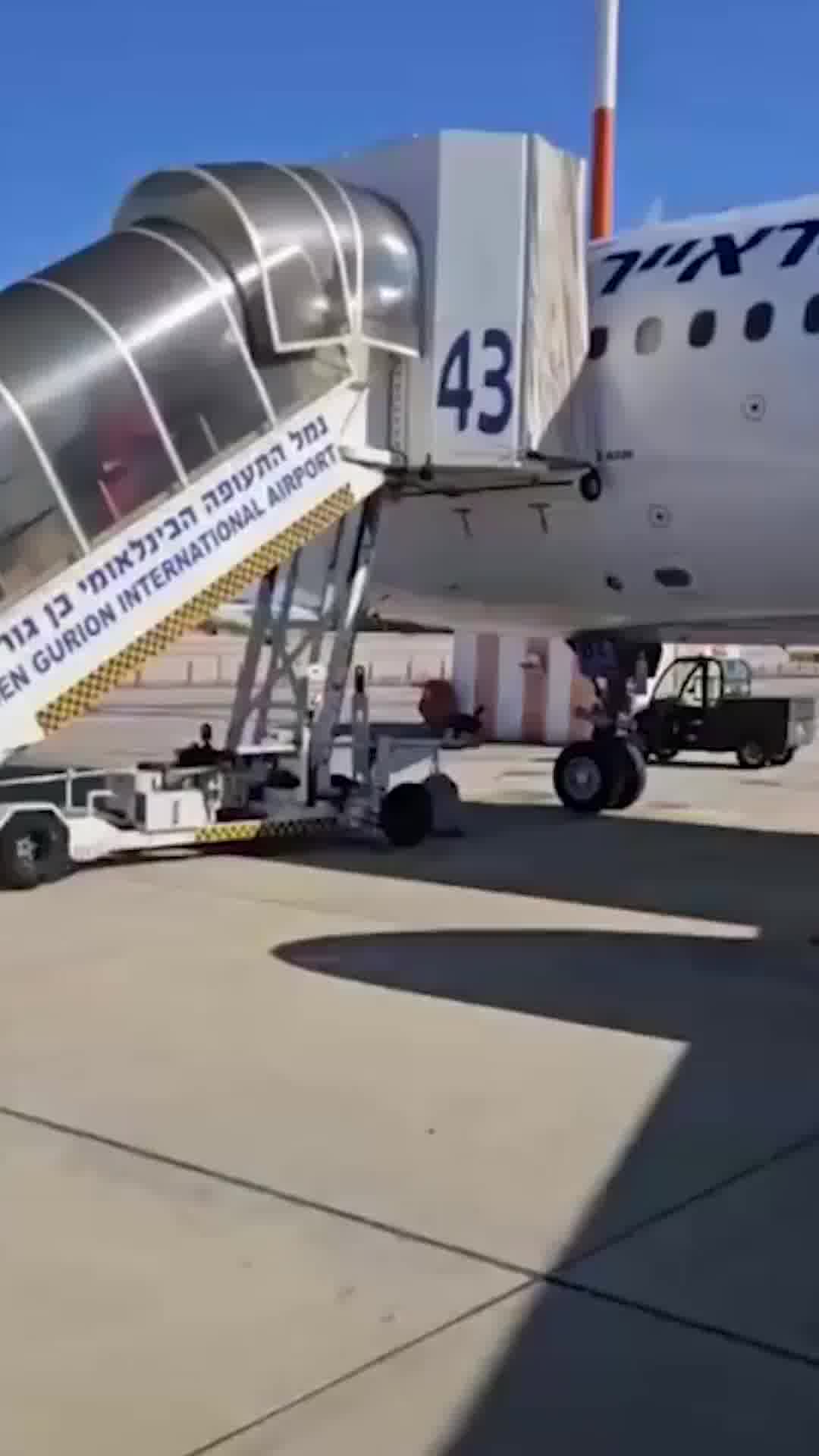 הכאוס בנתב"ג: מורידים את הנוסעים מהמטוס לאחר שהטיסה מיוון בוטלה