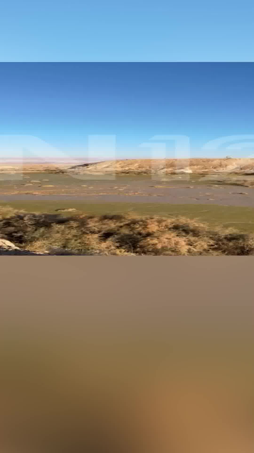 תיעוד רגע המעצר: שני צעירים ישראלים חצו את הגבול לירדן ונעצרו על ידי ...