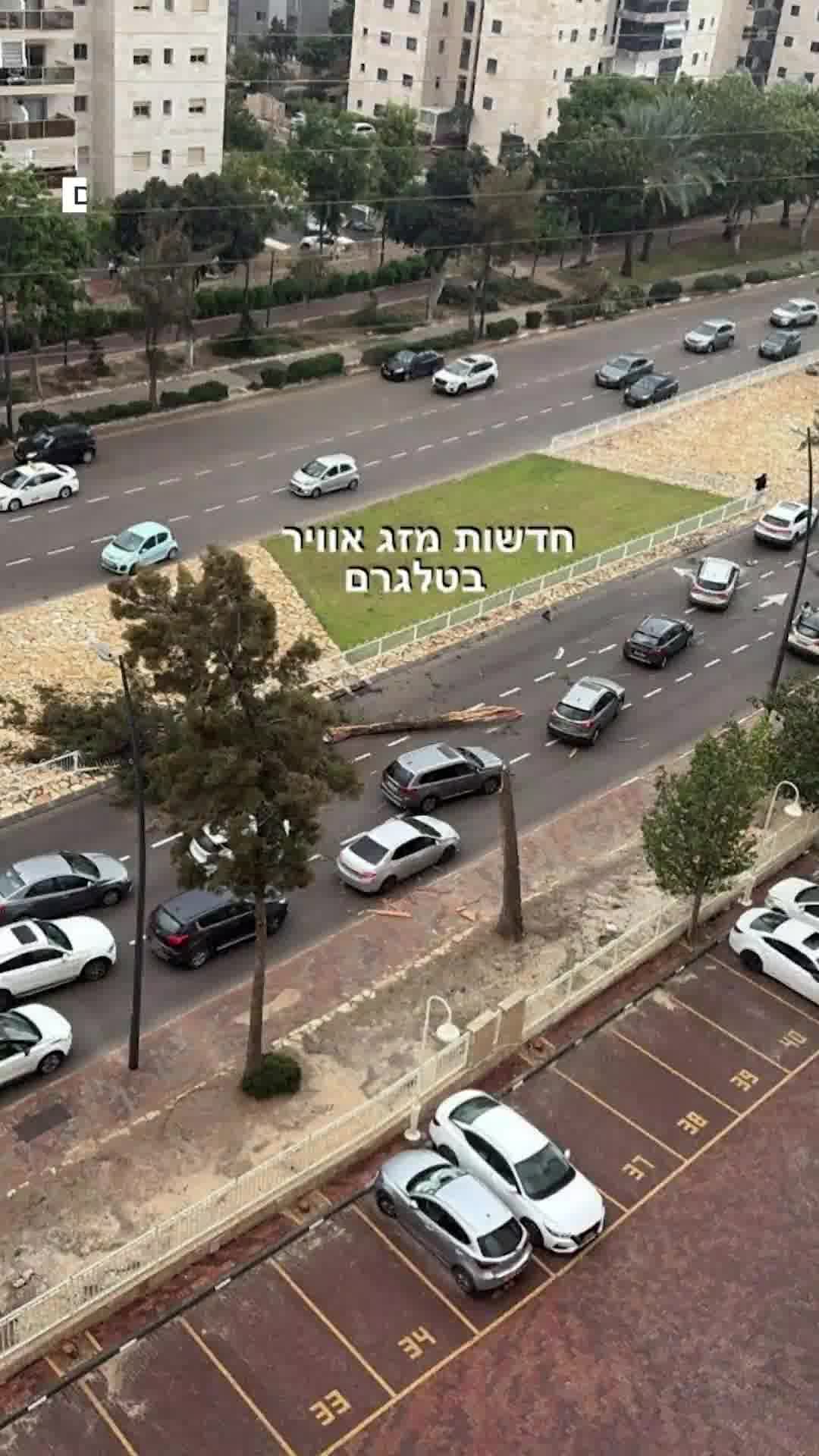רוחות סוערות: עץ קרס על רכב באשקלון והפך אותו, גבר כבן 65 פצוע בינוני